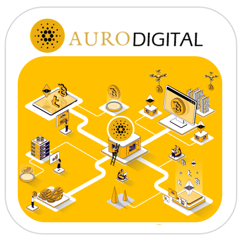 Auroville Investment Management - Index